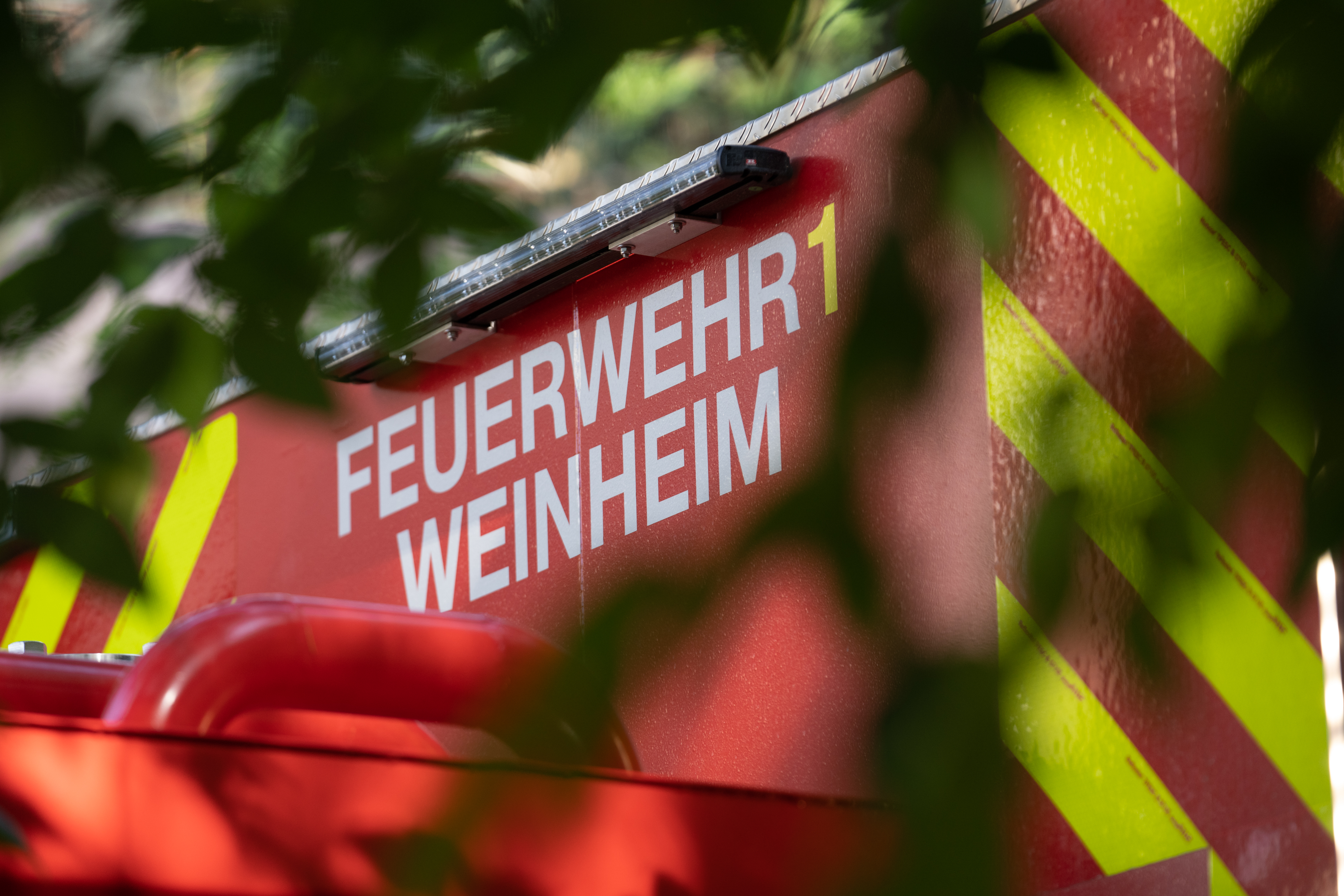 Notfall im Wald: Feuerwehr kämpft sich zur Patientin vor | WNOZ