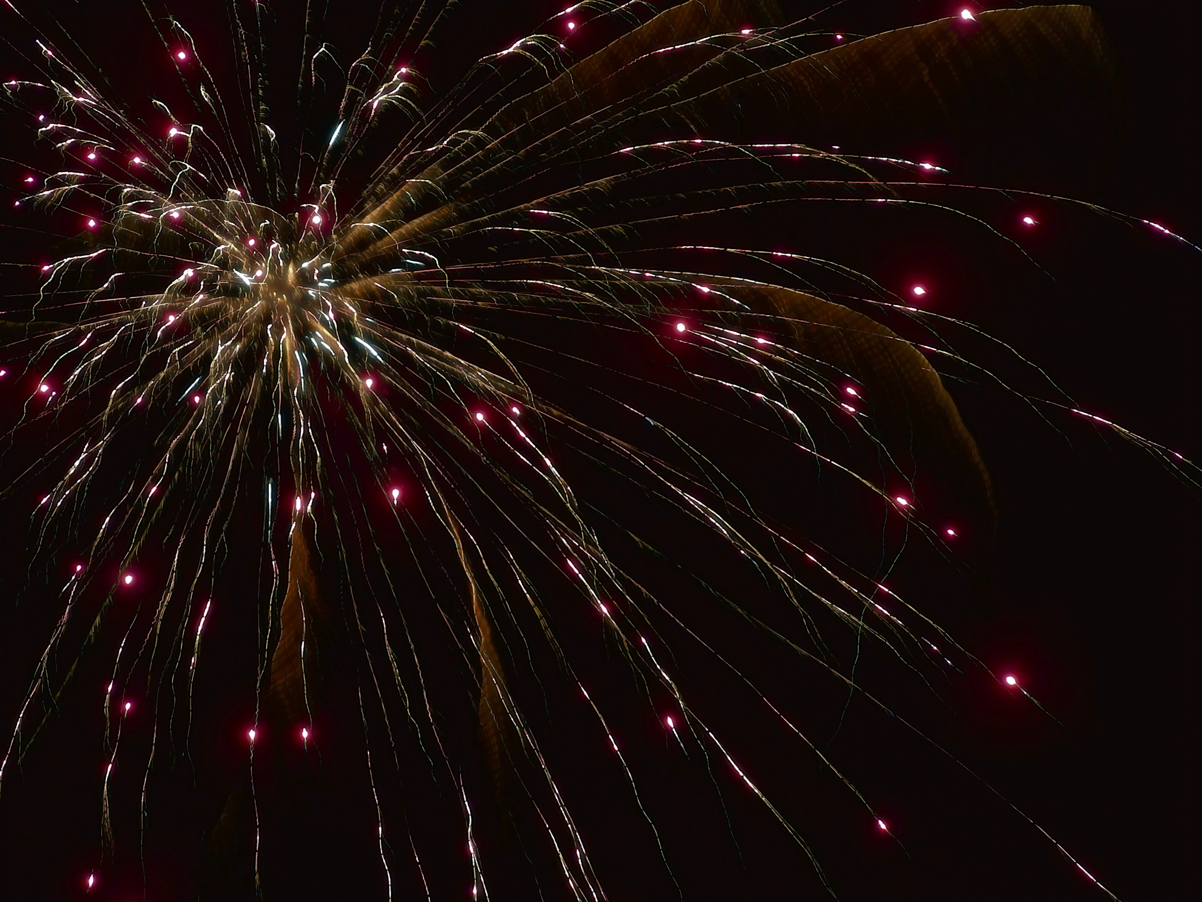 Das sind die schönsten Leserfotos | WNOZ