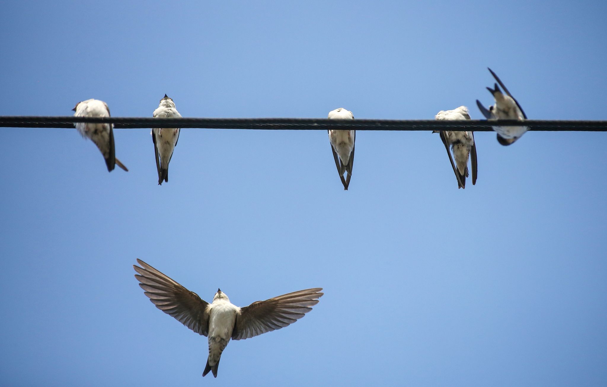 Bilder des Tages | WNOZ