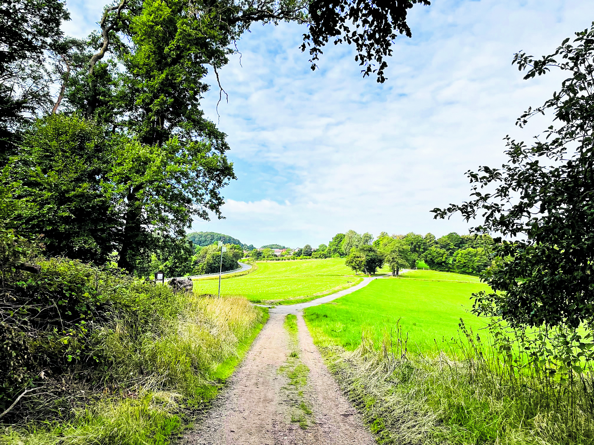 Wandern zwischen Modau- und Fischbachtal | WNOZ