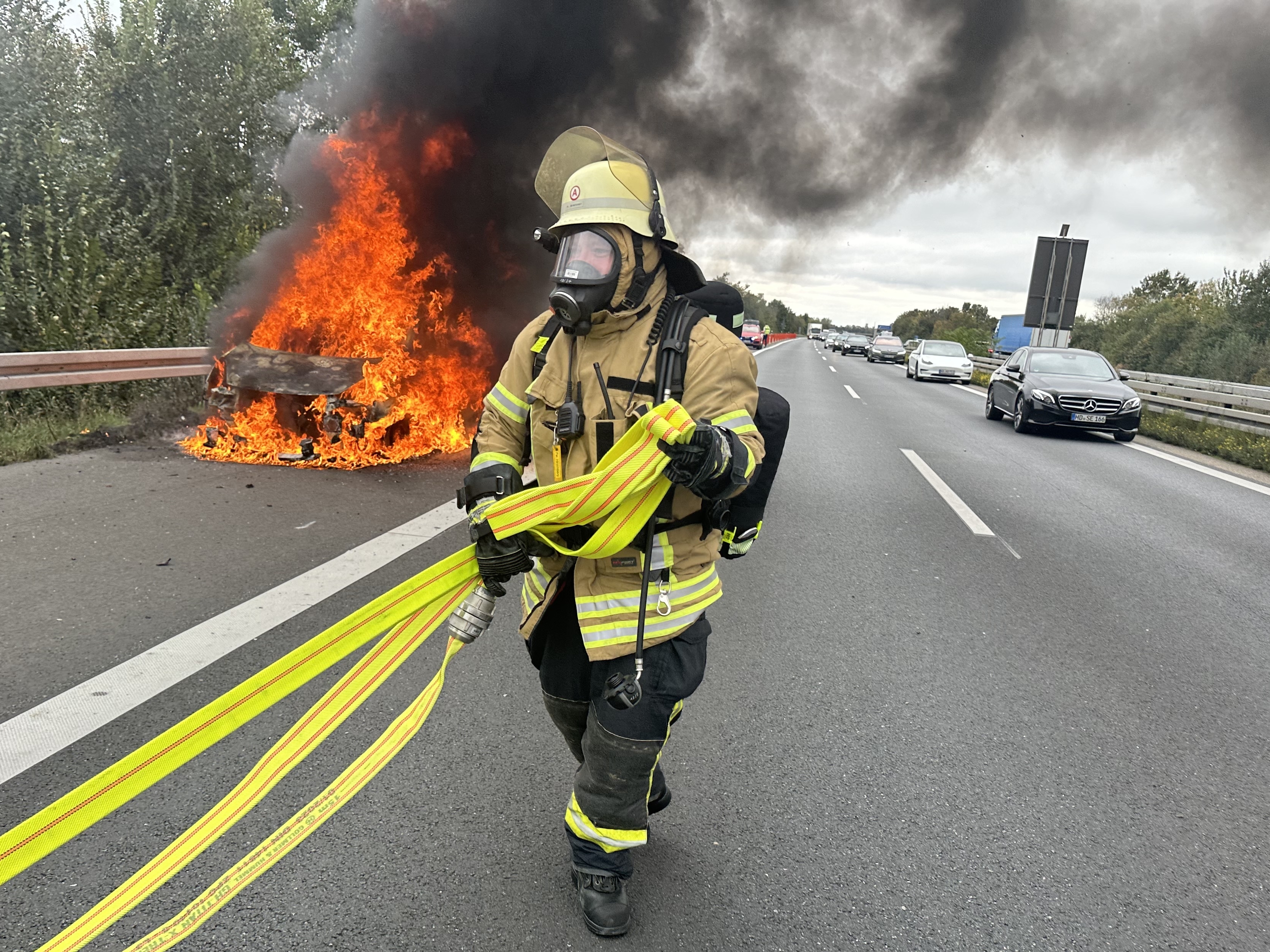 Tierisch bis tragisch: Die brenzligsten Einsätze der Weinheimer ...