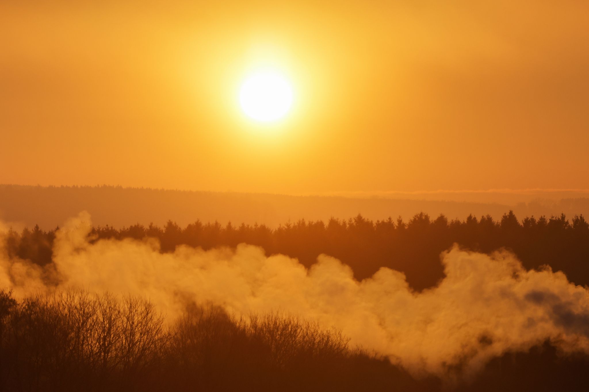 Erst Frühlingsgefühle in Südbaden, dann wieder trüb | WNOZ